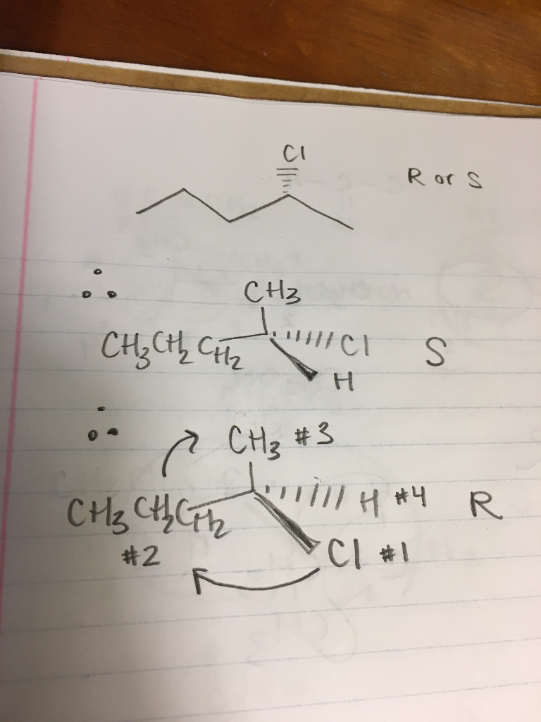 Solved Can you please help me understand why 2-chloropentane | Chegg.com
