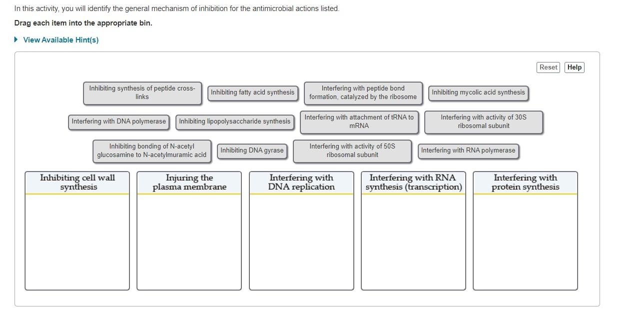 Solved In this activity, you will identify the general | Chegg.com