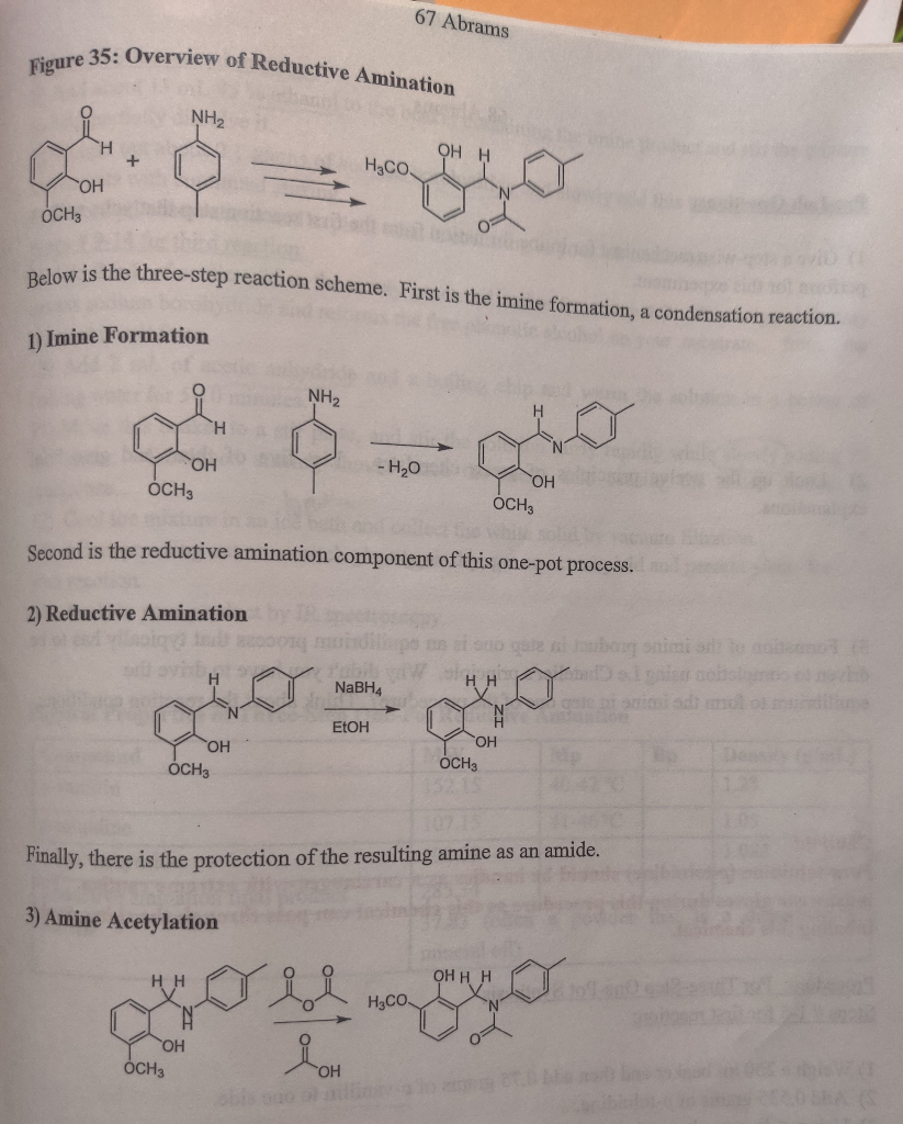 Solved Experiment 14: Reductive Amination-Three-Step Amine | Chegg.com