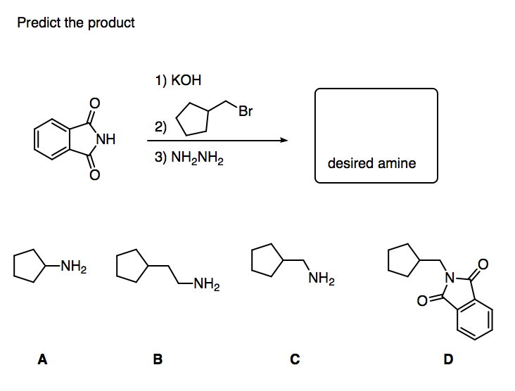 Solved Predict the product 1) КОН Br 2) NH 3) NH2NH2 desired | Chegg.com