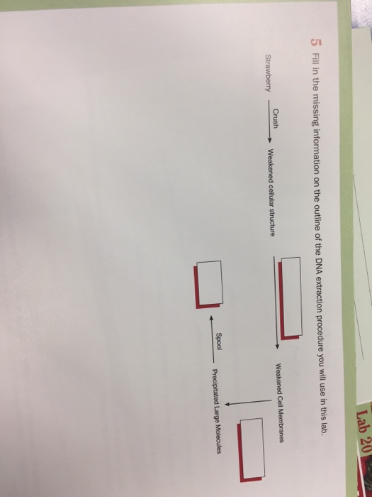 Solved l Provide a term that matches each description below. | Chegg.com