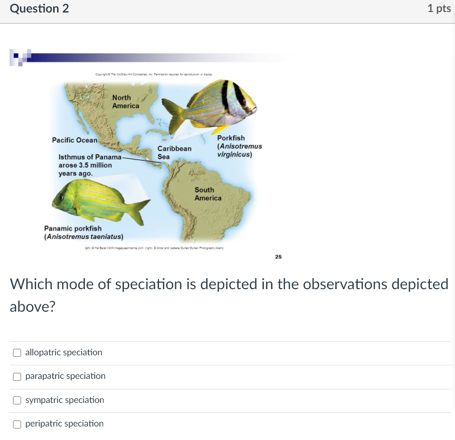 Solved Question 1 1 Original population Initial step of | Chegg.com