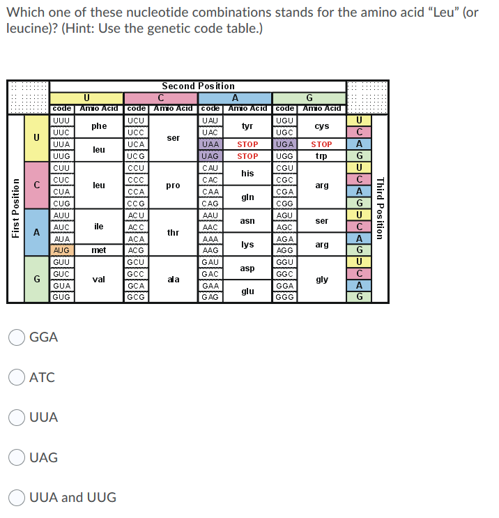 Amino Acid Nucleotide Table | Cabinets Matttroy