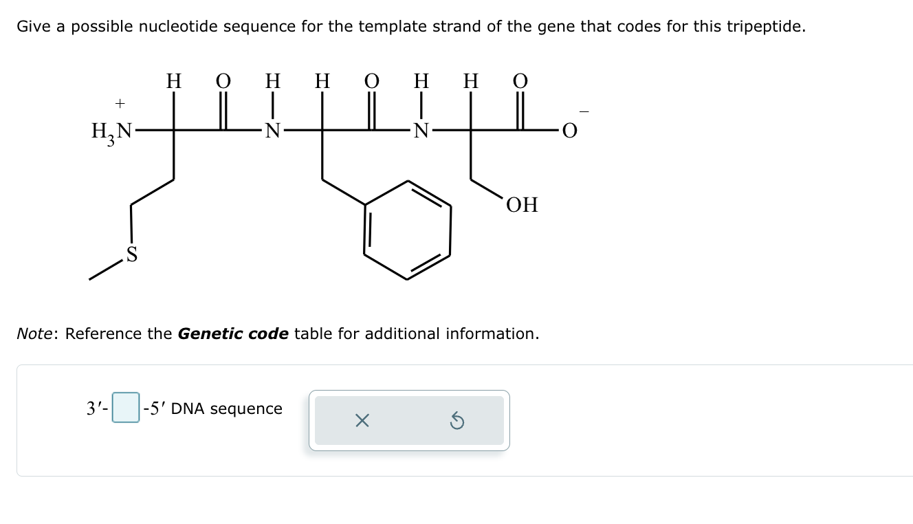 Solved Give a possible nucleotide sequence for the template | Chegg.com
