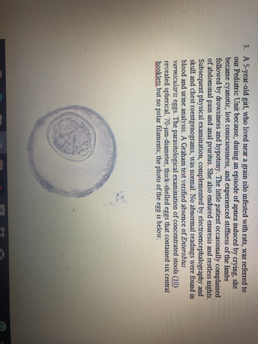 Solved Heading2 1 No Spac... T Normal Heading 1 Paragraph | Chegg.com