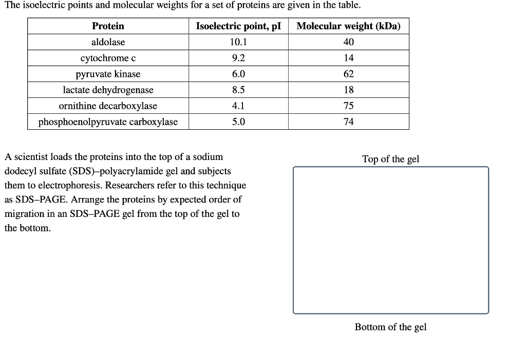 Solved The isoelectric points and molecular weights for a | Chegg.com