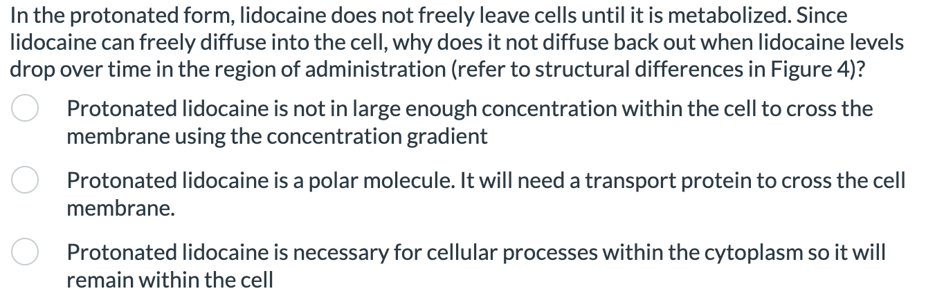 Solved the protonated form, lidocaine does not freely leave | Chegg.com