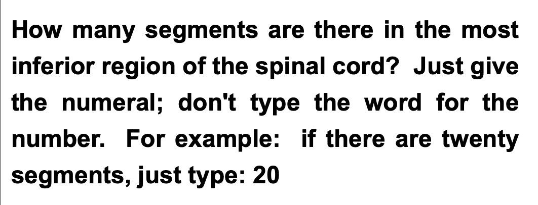 Solved How many segments are there in the most inferior | Chegg.com