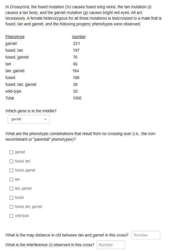 Solved In Drosophila, the fused mutation (fu) causes fused | Chegg.com