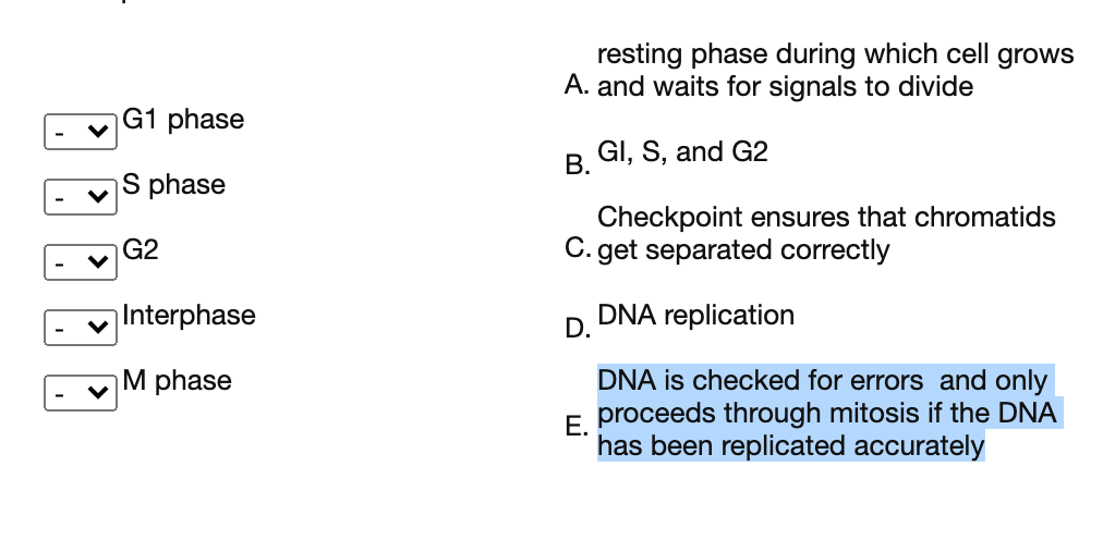 Solved resting phase during which cell grows A. and waits | Chegg.com