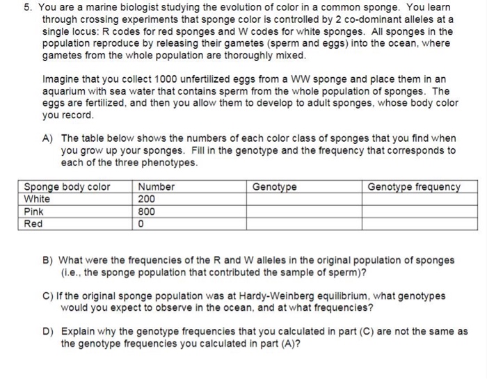 Solved 5. You are a marine biologist studying the evolution | Chegg.com