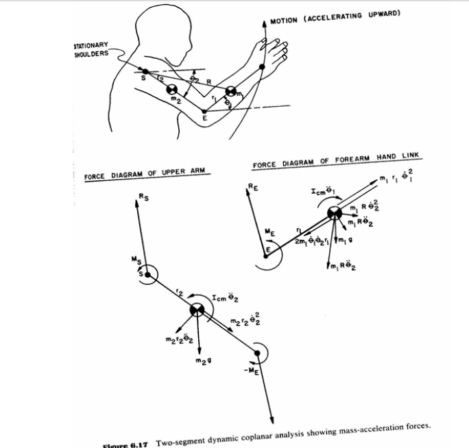 PROJECT DYNAMICS OF A MULTIPLE SEGMENT This activity | Chegg.com