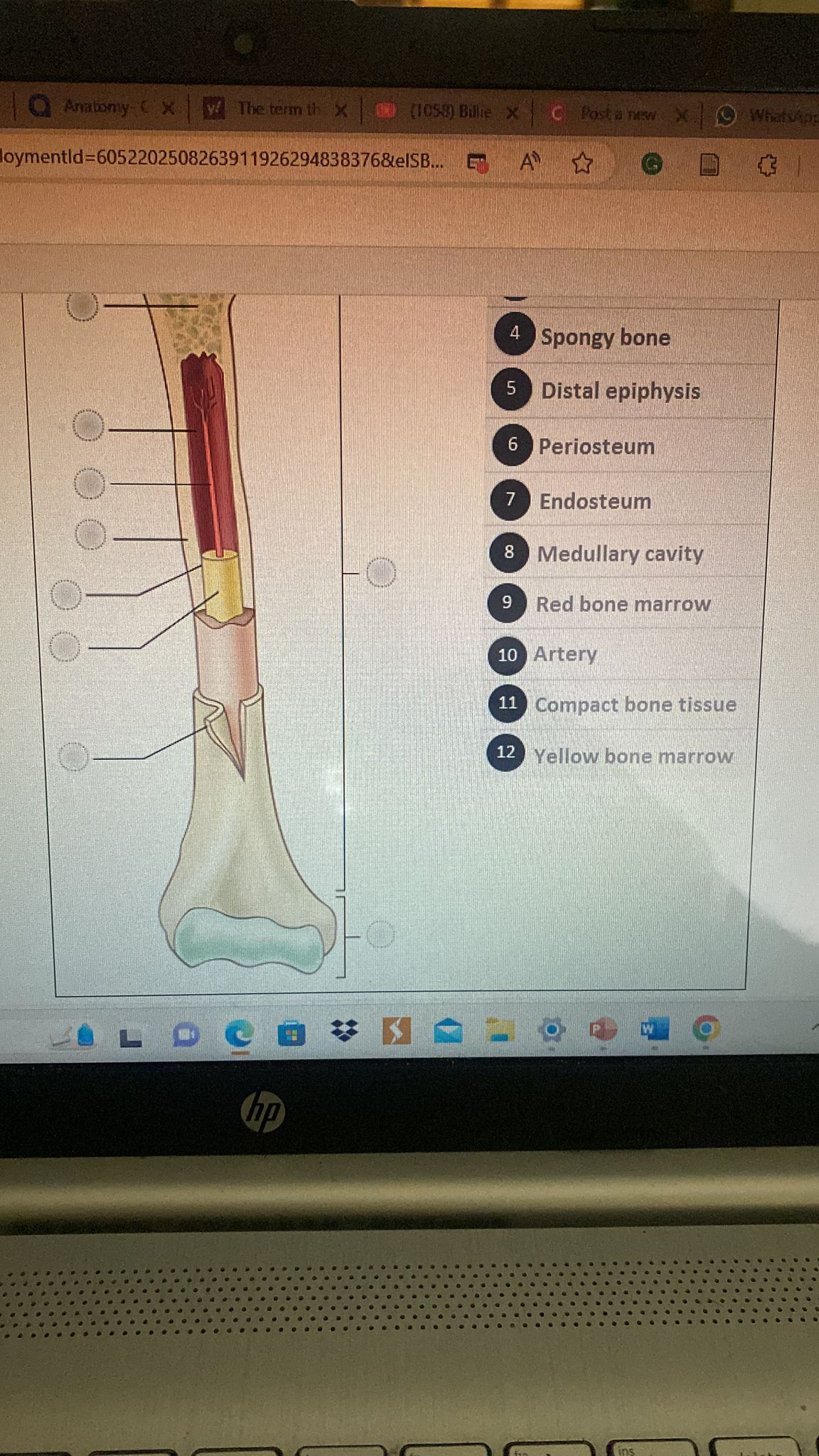 Solved chapter 3 | Chegg.com