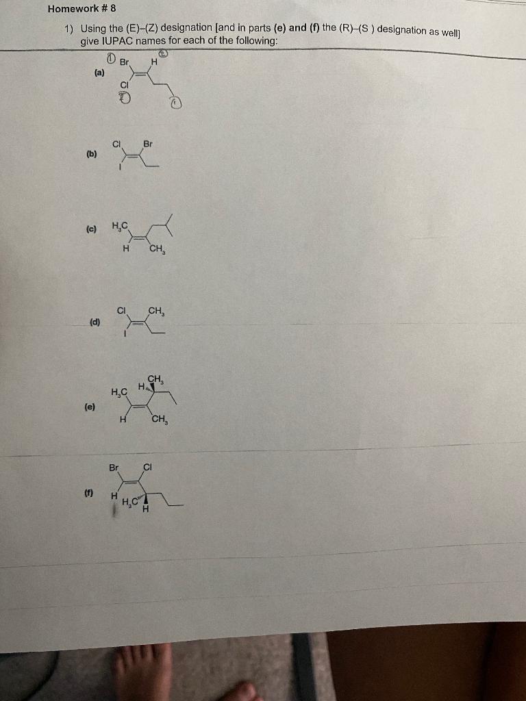 Solved Homework # 8 1) Using the (E)-(Z) designation [and in | Chegg.com