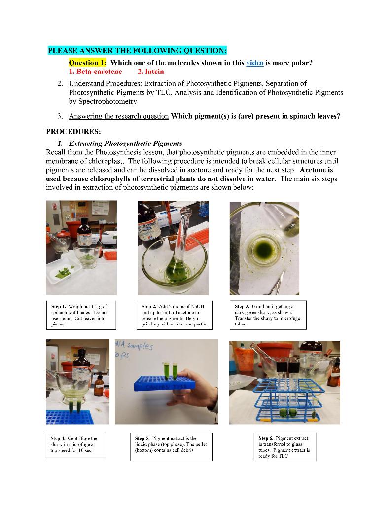 Solved BIOLOGY 181 Lab 10: Extraction and Analysis of | Chegg.com