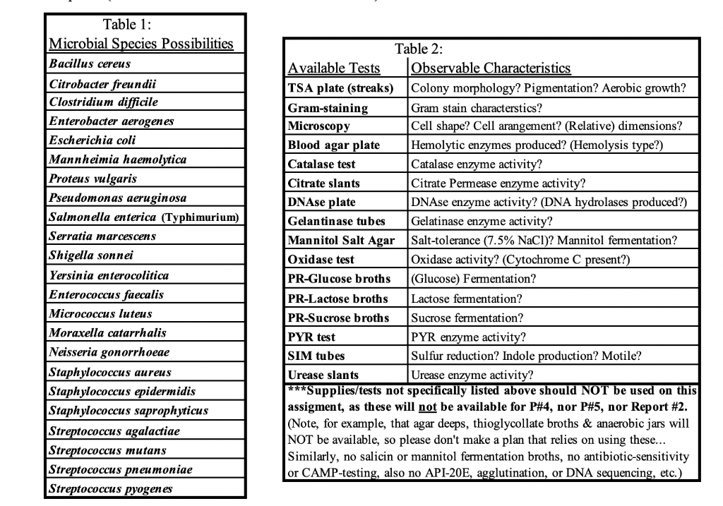 Solved create a dichotomous key, showing how to | Chegg.com