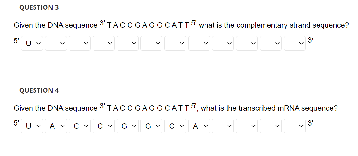 Solved QUESTION 3 Given the DNA sequence 3'TACCGAGGCATT 5' | Chegg.com