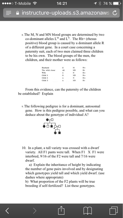 Solved 14:21 instructure-uploads.s3.amazonaws.com o | Chegg.com