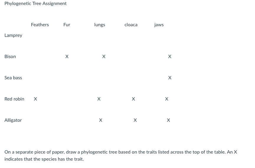 Solved Phylogenetic Tree Assignment Lamprey Bison Sea bass | Chegg.com