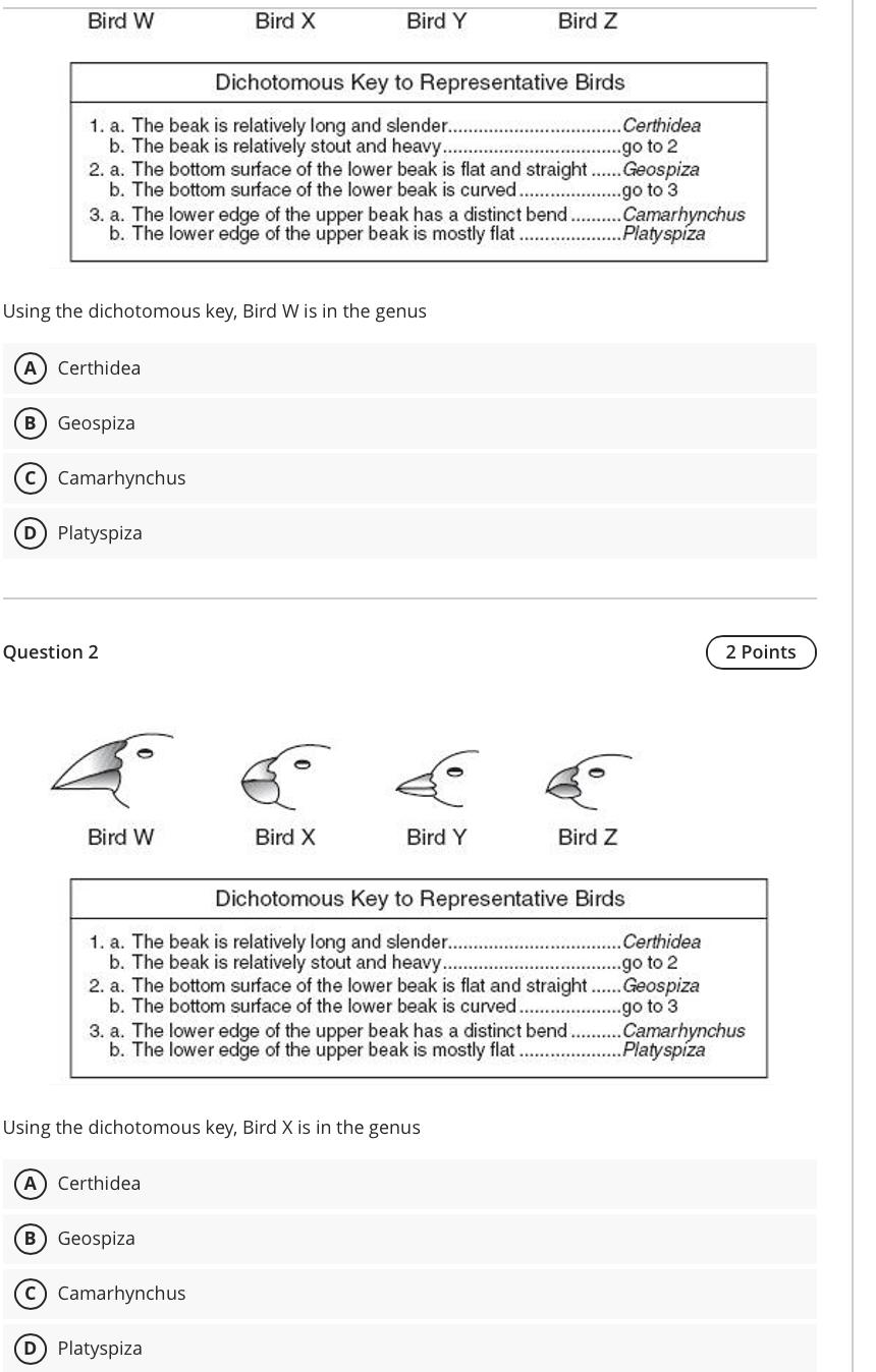 Solved Using the dichotomous key, Bird W is in the genus | Chegg.com