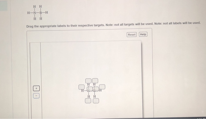 Solved H H H-N-B-H H H Drag the appropriate labels to their | Chegg.com