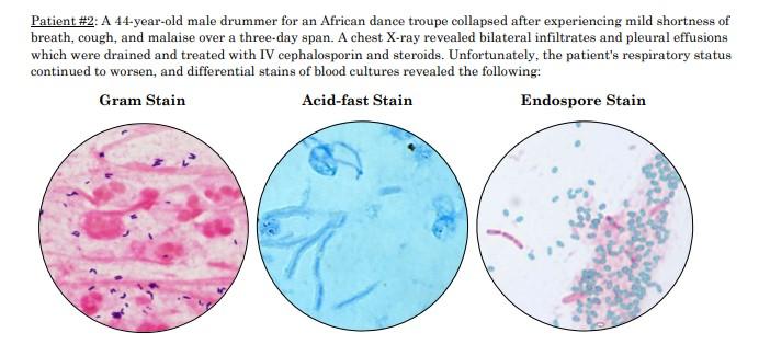 Solved Differential Staining Worksheet [5] Apply what you | Chegg.com