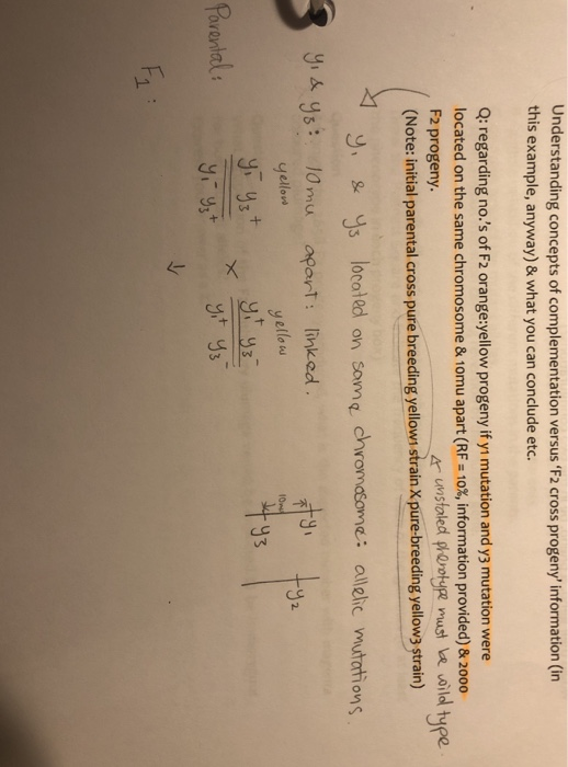 Solved Understanding concepts of complementation versus F2 | Chegg.com