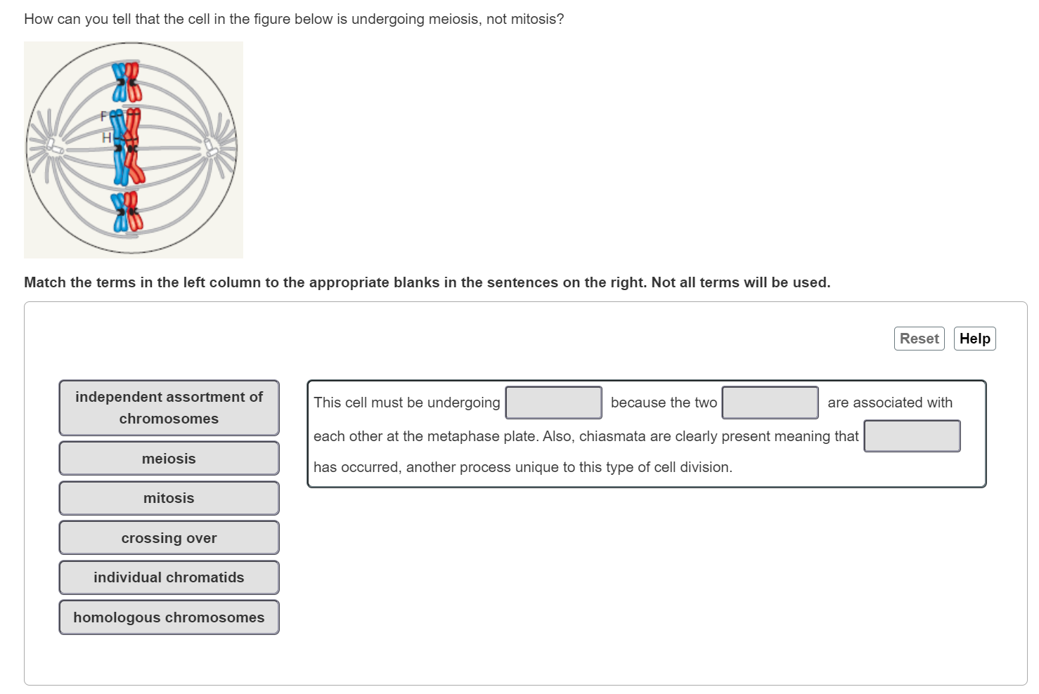 Solved How Can You Tell That The Cell In The Figure Below Is