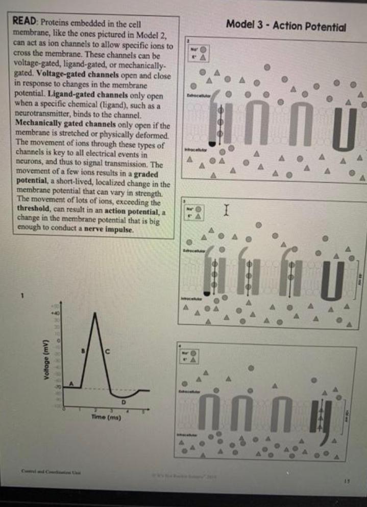 Solved 21. Look at Figure 1. a. What does part of the graph | Chegg.com