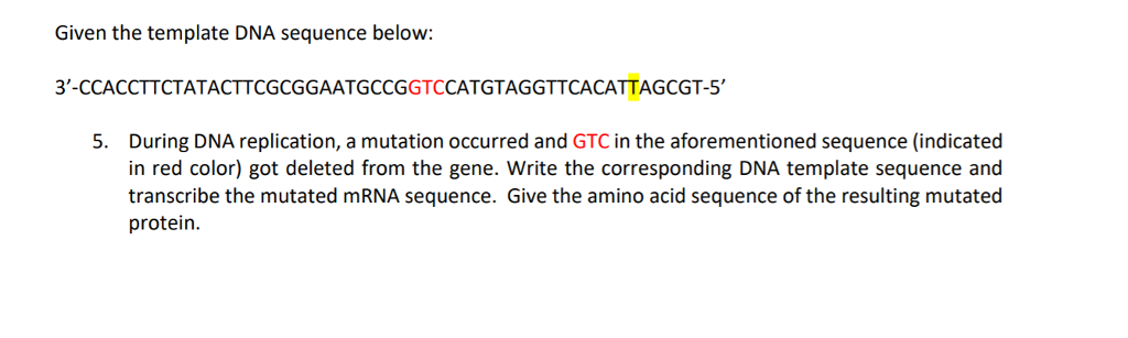 Solved Given the template DNA sequence below: | Chegg.com