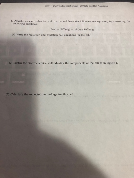 Solved Lab 11: Shadying E Halt Cells and Halt-R | Chegg.com