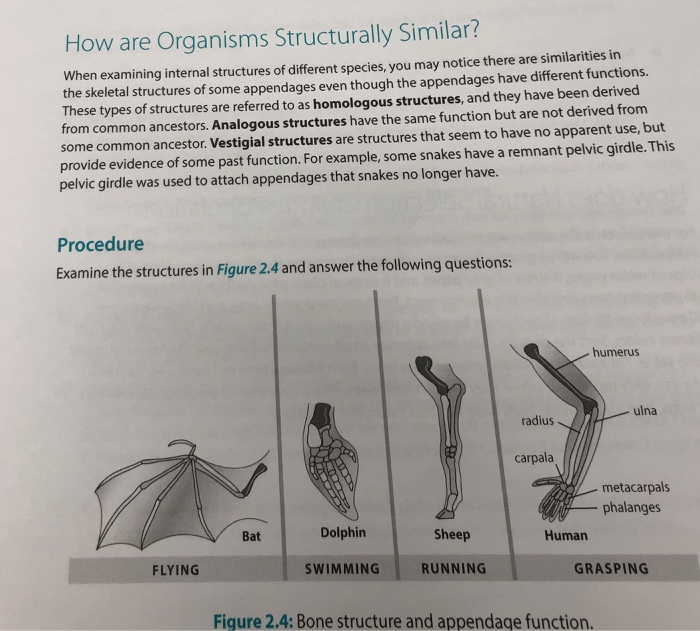 Solved How are Organisms Structurally Similar? When | Chegg.com
