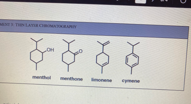 Solved MENT 3: THIN LAYER CHROMATOGRAPHY ОН menthol menthone | Chegg.com
