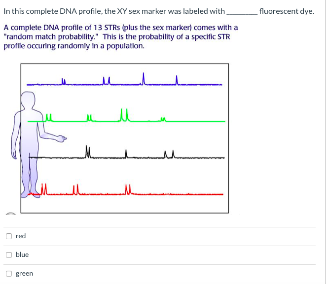 Solved DNA profiles are constructed from DNA sequences that | Chegg.com