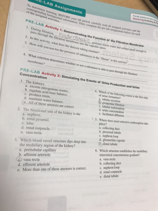 Solved somebody help me to see i did these right and i need | Chegg.com