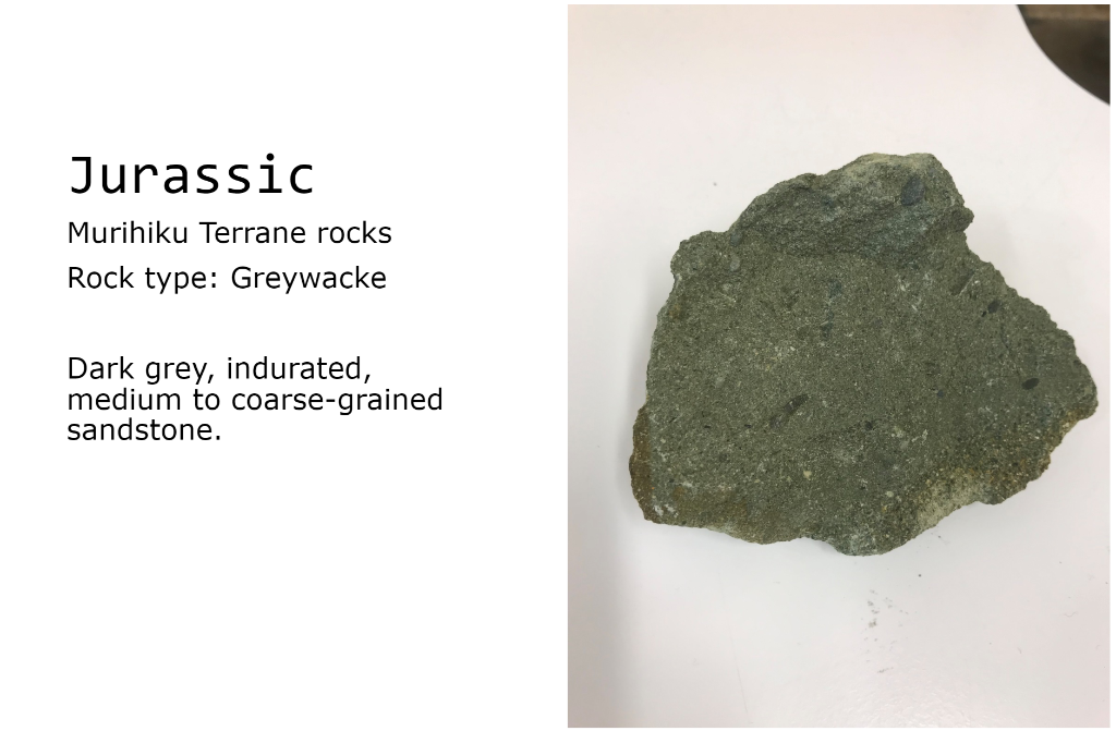 [Solved]: Detailed descriptions of Port Waikato rock types,