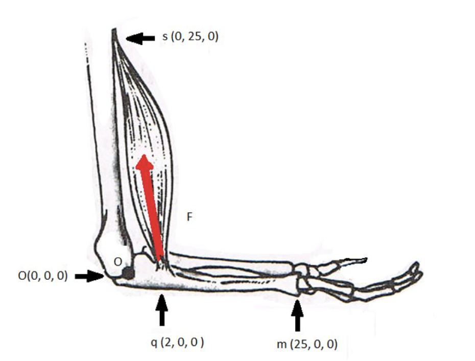 Solved Calculate the moment vector generated by the force of | Chegg.com