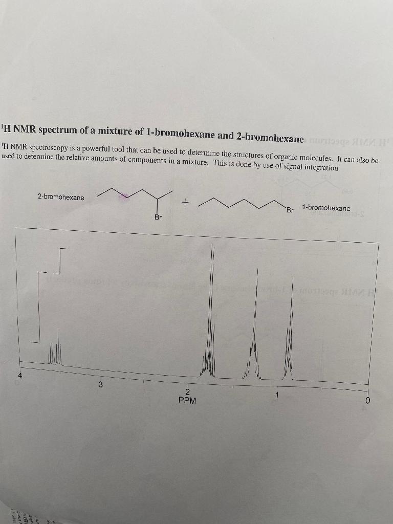 Solved 'H NMR spectrum of 2-bromohexane (The Markovnikov | Chegg.com
