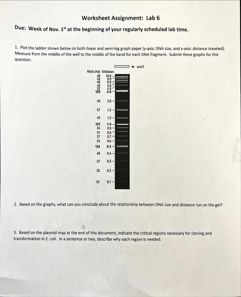 Worksheet Assignment: Lab 6 Due: Week of Nov. 1st at | Chegg.com