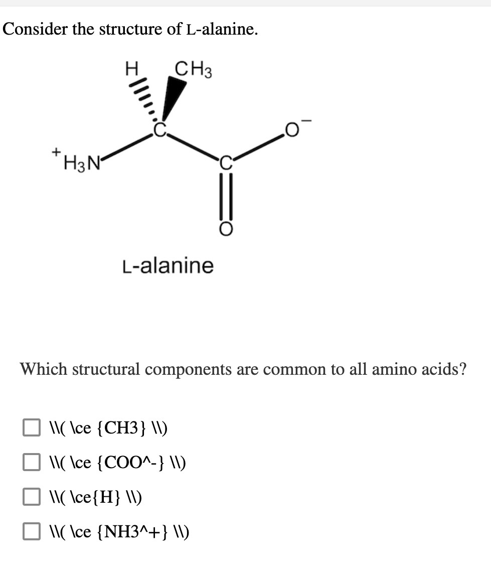 Solved Consider The Structure Of L Alanine What Structural