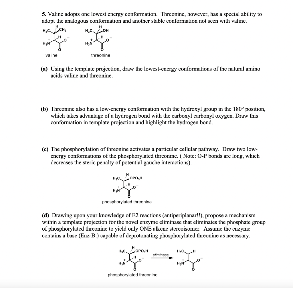 5. Valine adopts one lowest energy conformation. | Chegg.com
