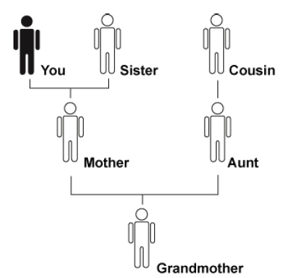 Solved Are you more closely related to your sister or | Chegg.com