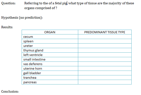 Solved Question: Referring to the of a fetal pigl what type | Chegg.com