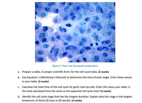 Solved Part 2 - Cellular Reproduction 1. Determine the | Chegg.com