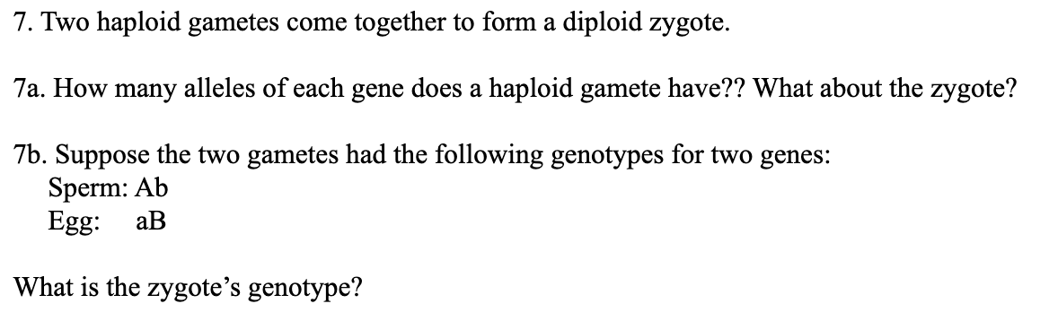 Solved 7 Two Haploid Gametes Come Together To Form A 6465
