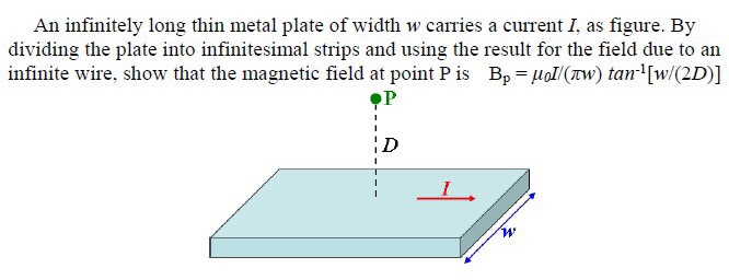 Solved An Infinitely Long Thin Metal Plate Of Width W Chegg