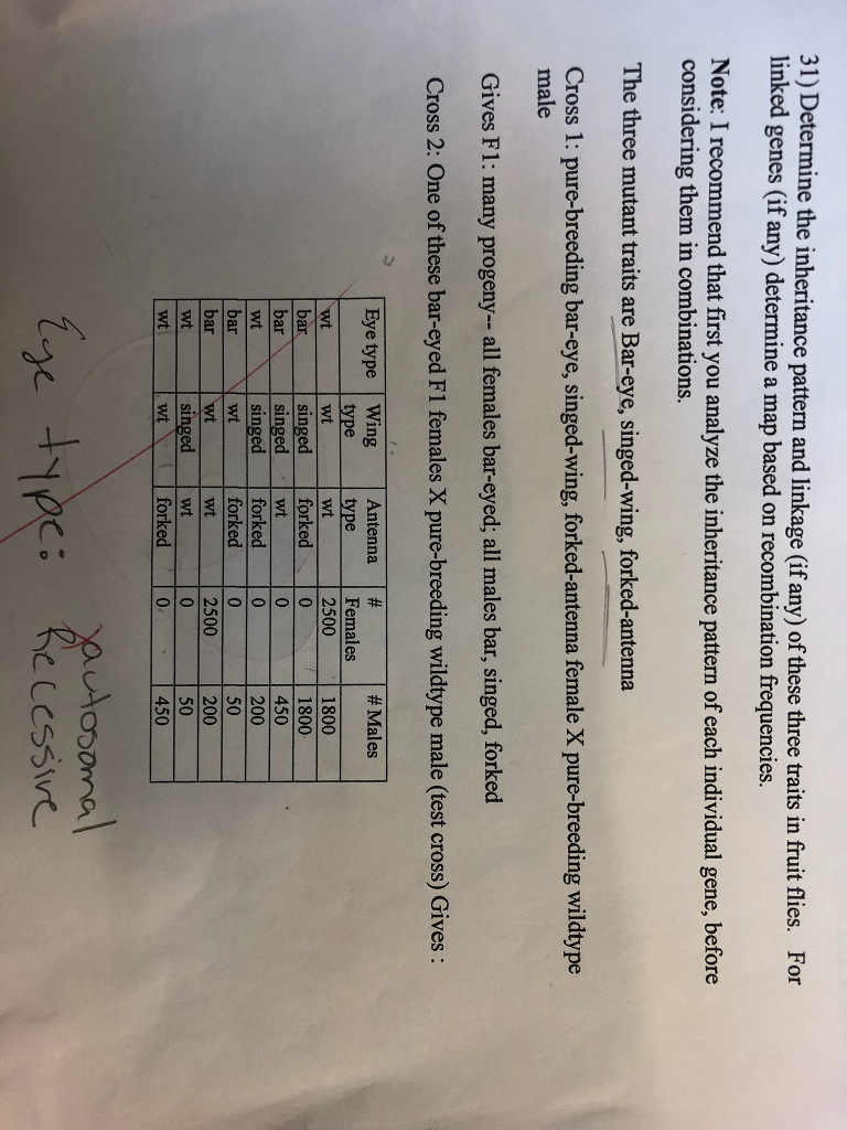 Solved 31) Determine the inheritance pattern and linkage (if | Chegg.com