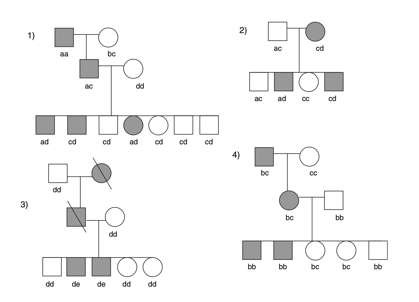 Solved The disease allele “M” follows a dominant model of | Chegg.com