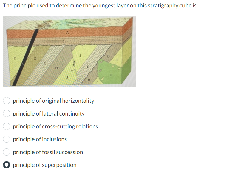Solved The principle used to determine the youngest layer on | Chegg.com
