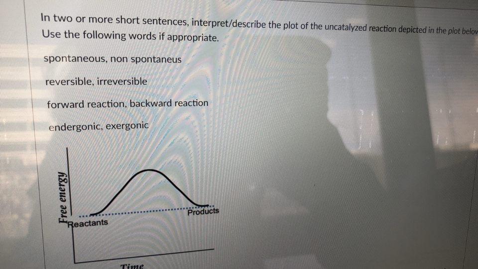 Solved In two or more short sentences, interpret/describe | Chegg.com Solved In two or more short sentences, interpret/describe | Chegg.com